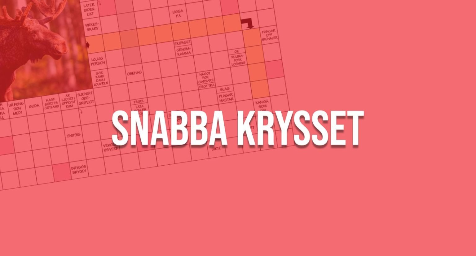 Snabba krysset 3 - Hemmets Journal