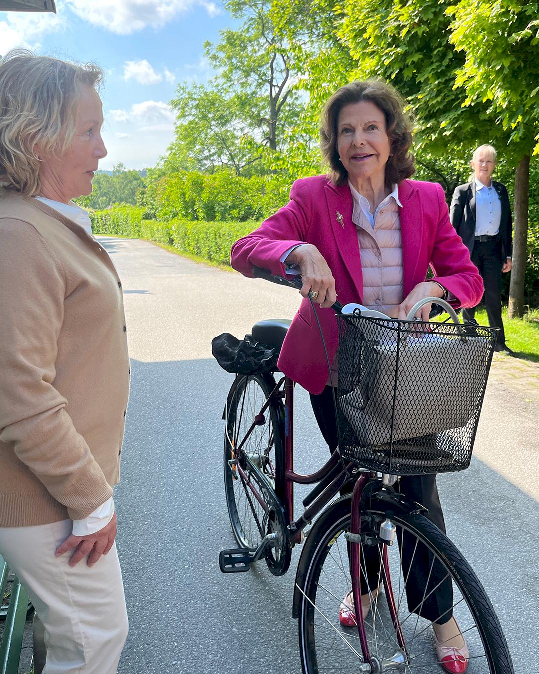 Drottning Silvia 80 år: “Hon räddade den svenska monarkin”