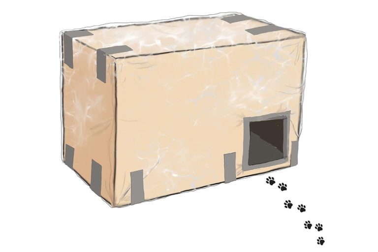 Enkelt värmehus till hemlösa katter - Hemmets Journal