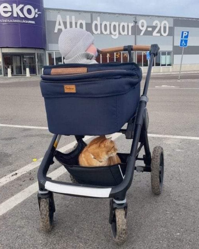 Luffar-Lasse drog in miljoner till välgörenhet - Hemmets Journal