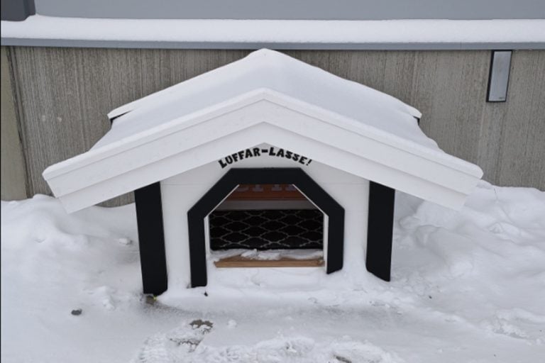 Luffar-Lasse drog in miljoner till välgörenhet - Hemmets Journal