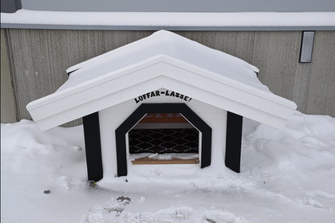 Luffar-Lasse drog in miljoner till välgörenhet - Hemmets Journal