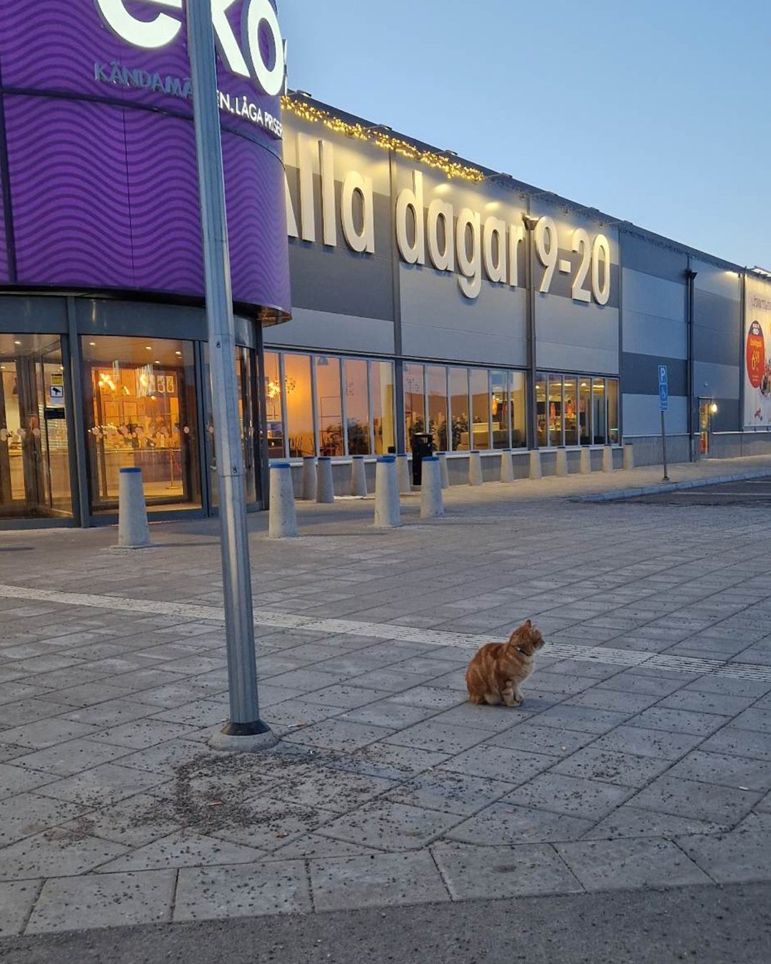 Luffar-Lasse drog in miljoner till välgörenhet - Hemmets Journal