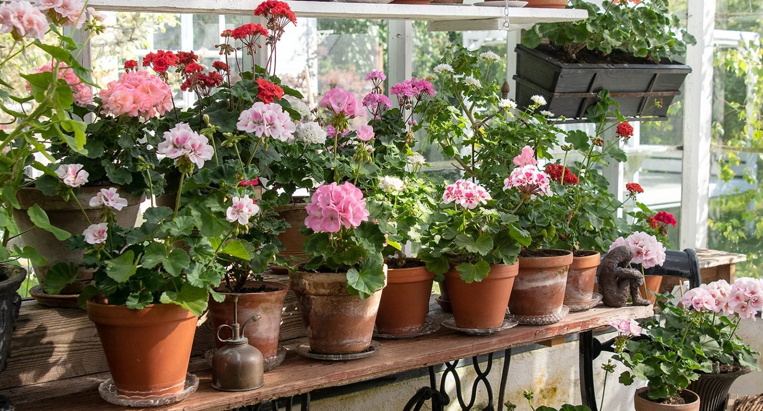 Spela Taipei – Roligt spel hos Hemmets Journal