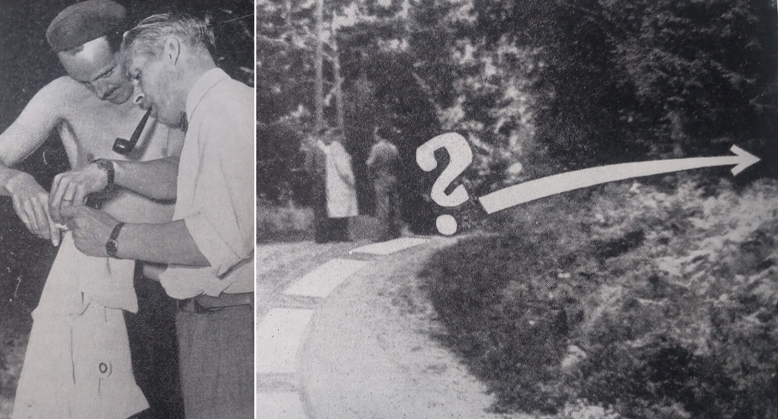 Medåkersmordet 1953: Alvina mördades på väg till brorsonen