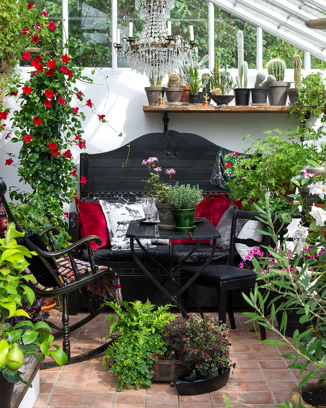 Annas mysiga växthus är fyllt av blommor och loppisfynd