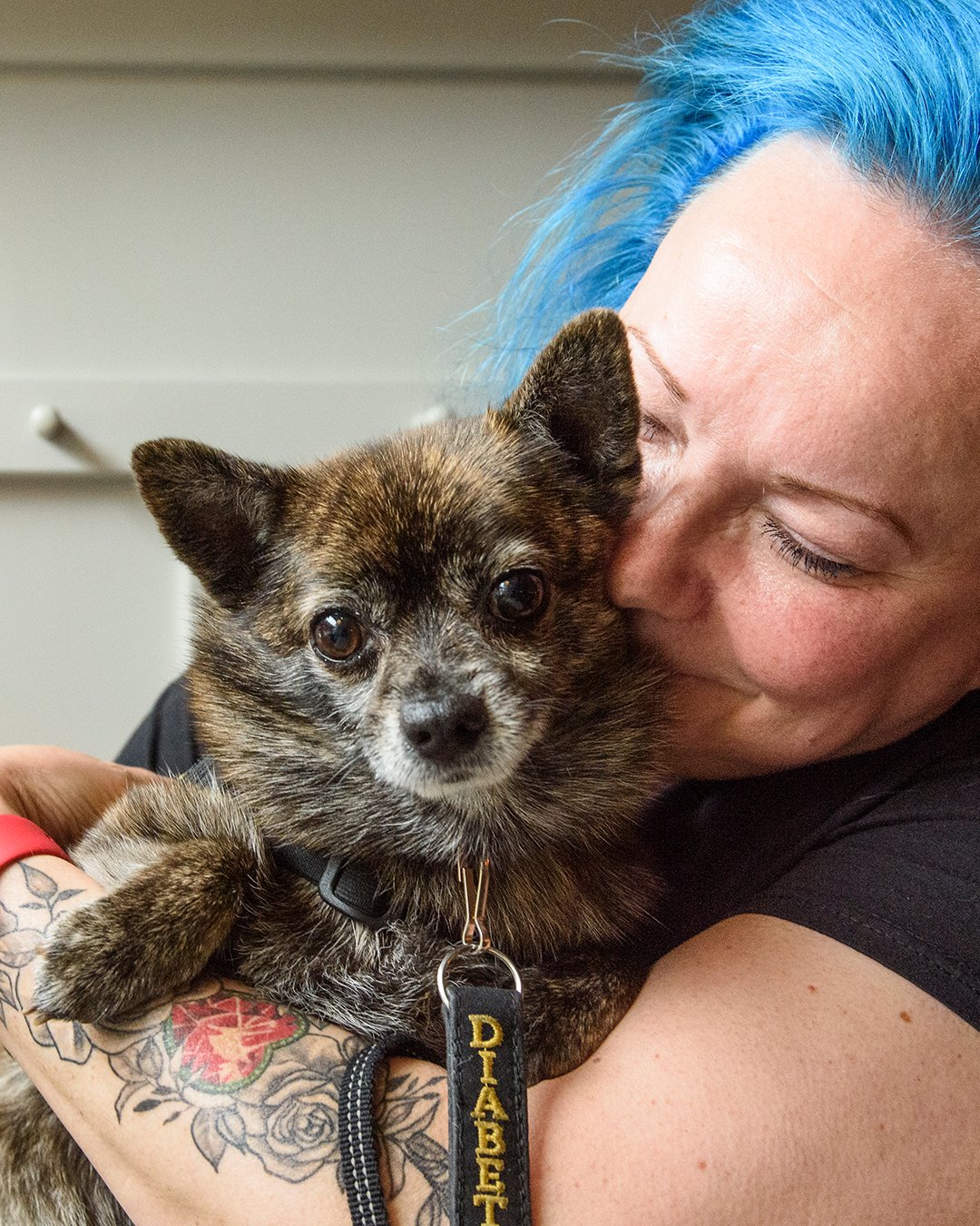 Hunden Rambo hjälpte Veronica med depressionen - Hemmets Journal