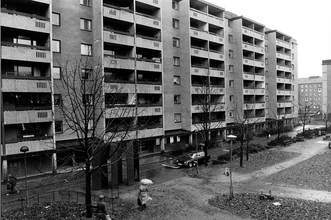 Vad hände med Cats Falck och Lena Gräns?