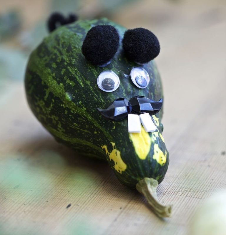 Gör det själv: pyssla med pumpor! - Icakuriren