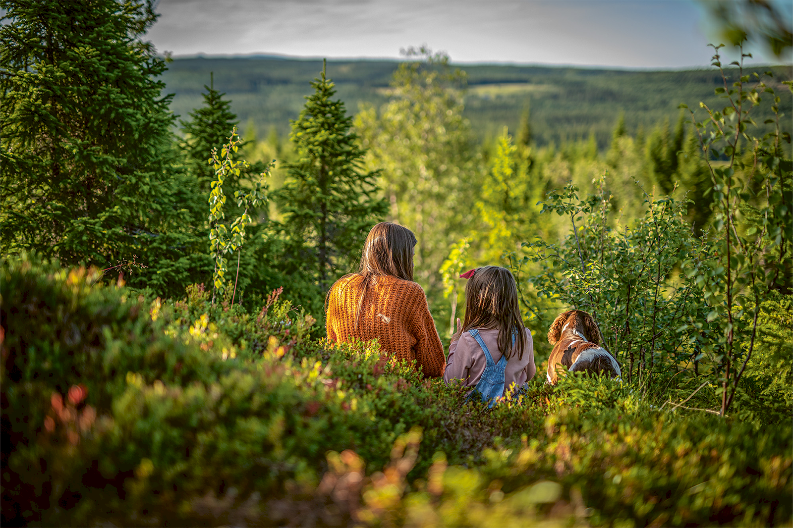 Markus bodde ensam i tält i fyra år – nu har han byggt stuga till hela ...