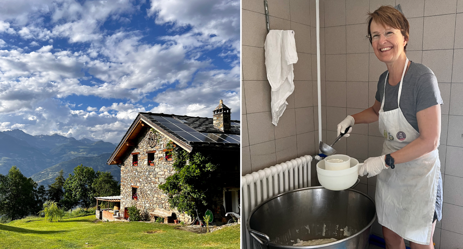 Virka bläckfisken som ger trygghet åt för tidigt födda barn - Icakuriren