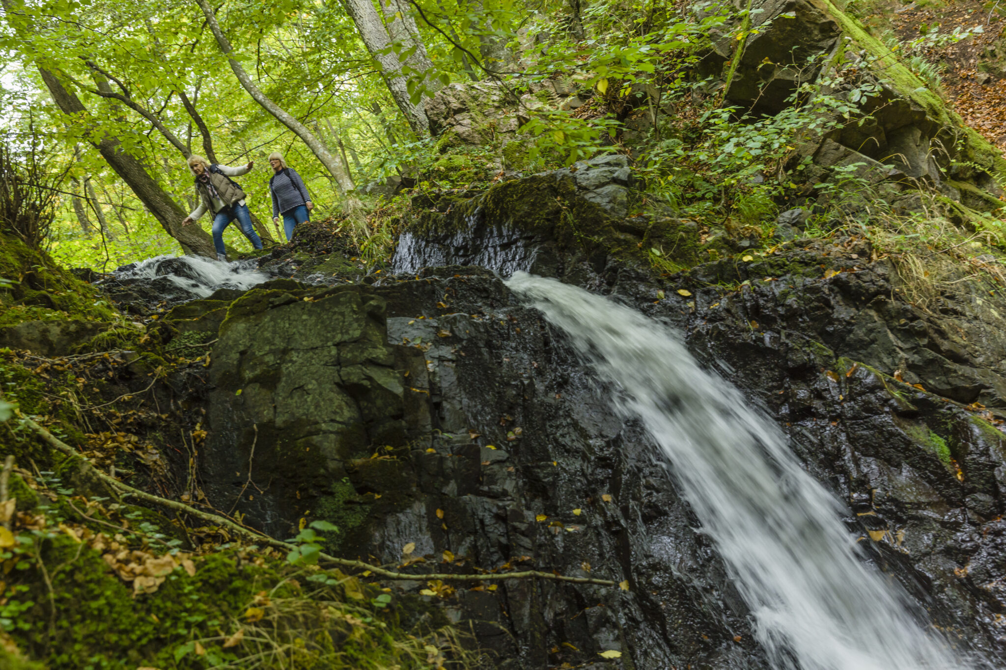 På resa till våren – njutbar weekend i Skåne - Icakuriren