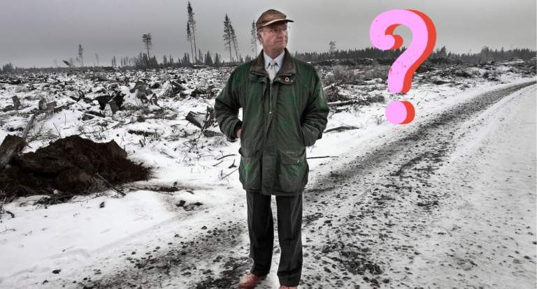 Category: Spela och tävla - Icakuriren