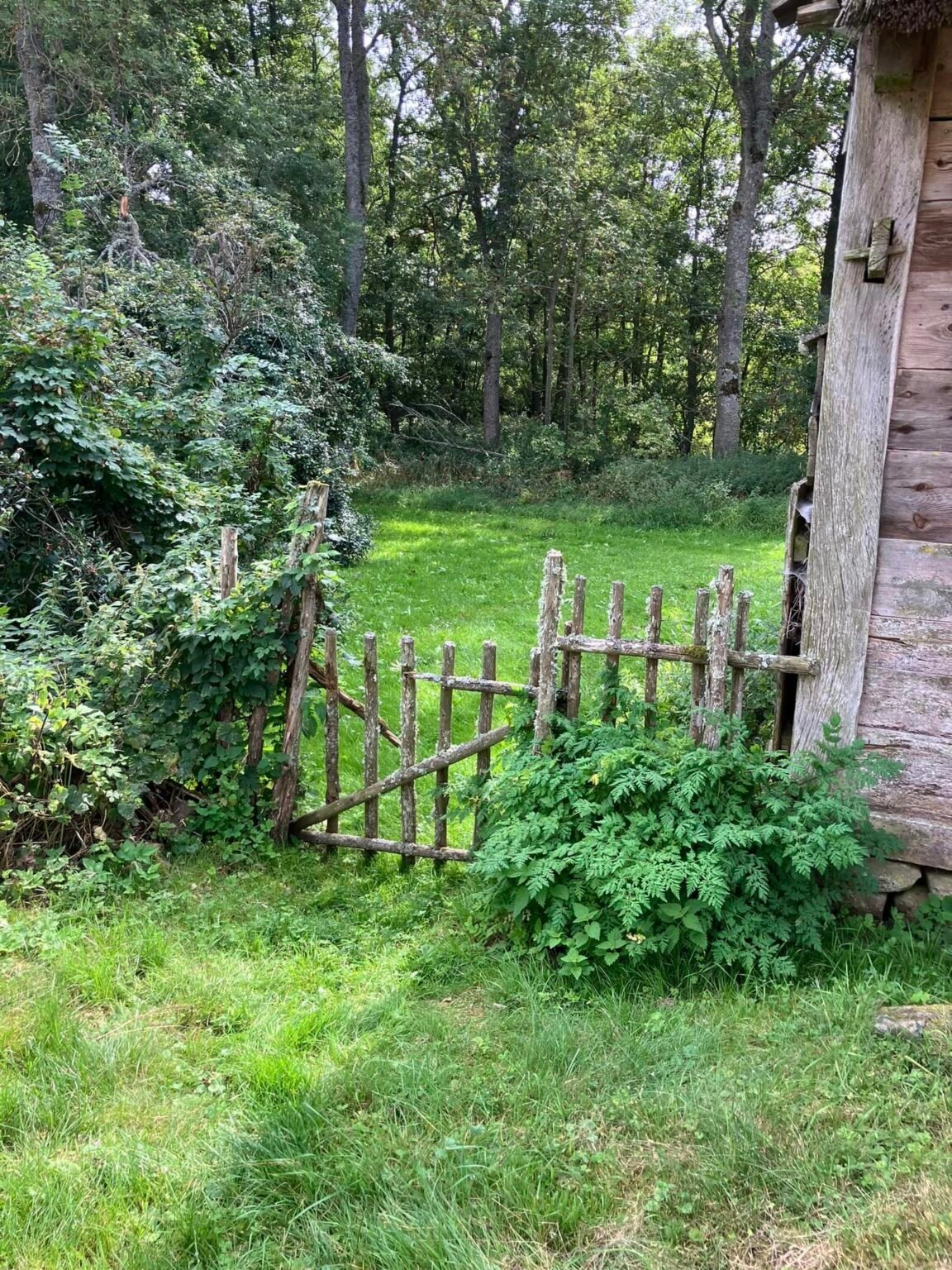 På resa till våren – njutbar weekend i Skåne - Icakuriren