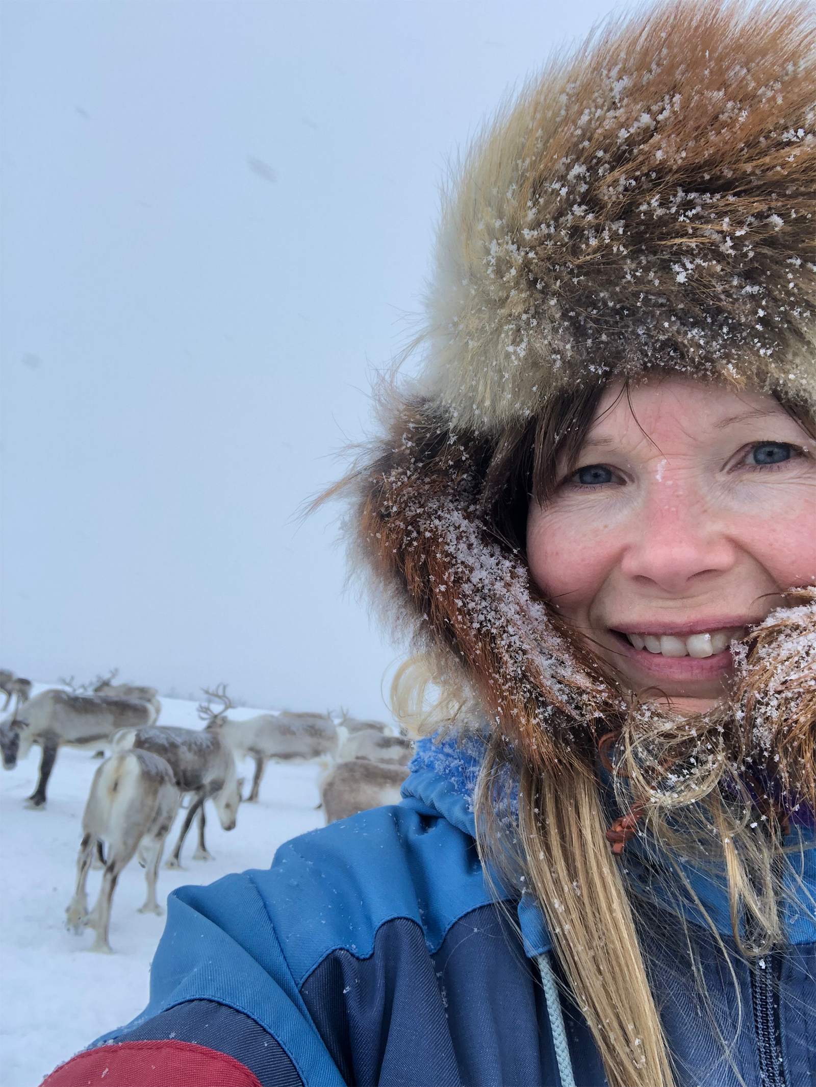 Ann-Helén Laestadius om övergreppen mot samer: ”Hur ska jag kunna ...